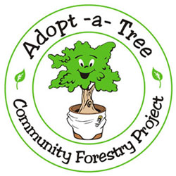 Adopt-a-Tree - Miami-Dade County