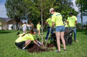 Miami-Dade County - District 12 - News Release