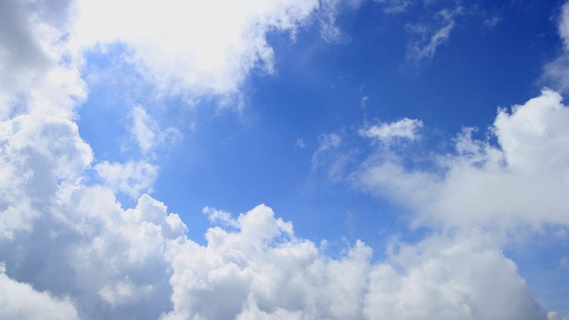 Environment - Miami-Dade County