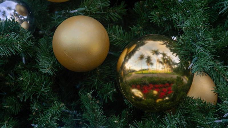 Residents invited to attend Christmas Tree lighting ceremony